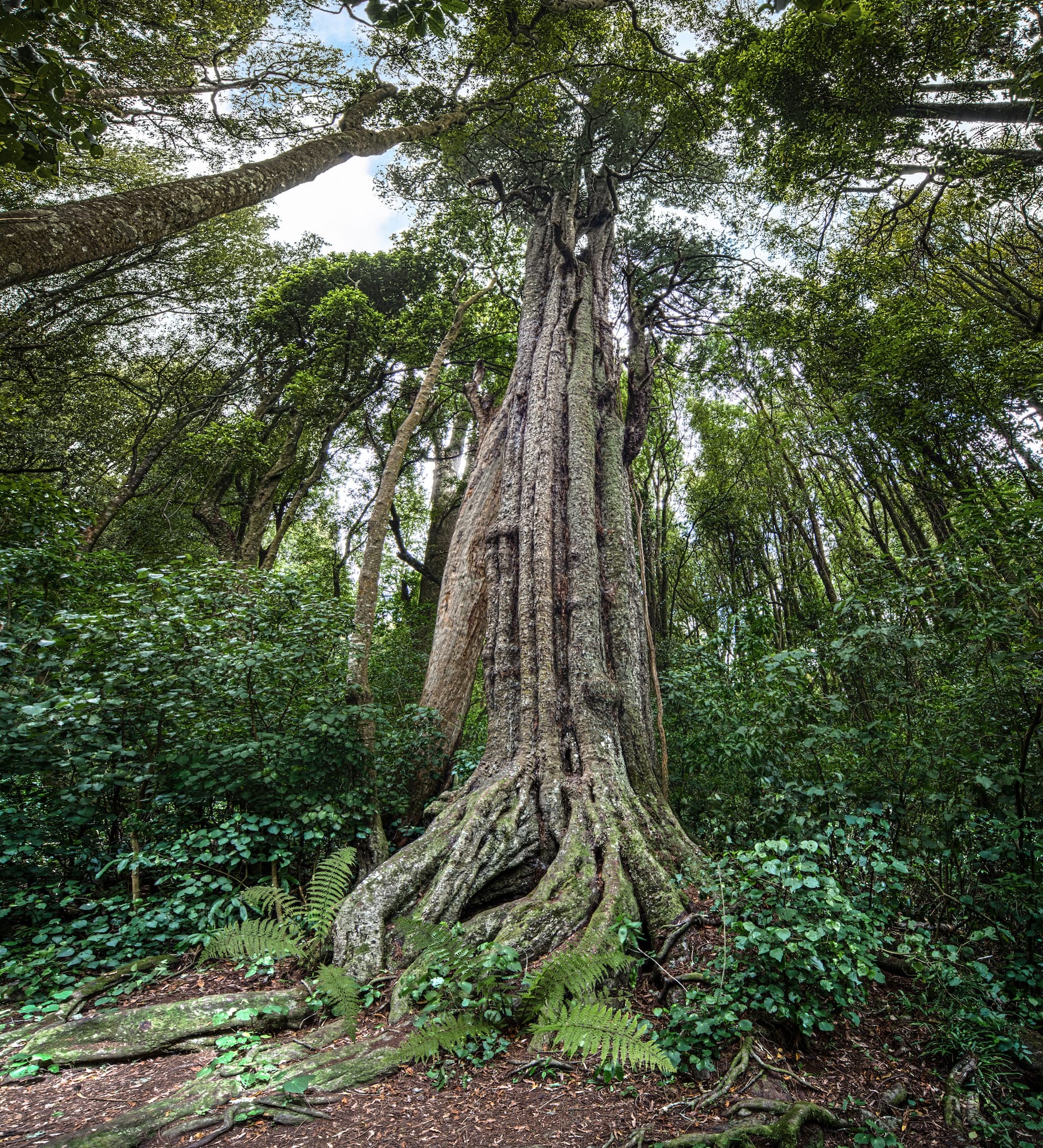 Exploring nature - Tōtara Reserve Regional Park